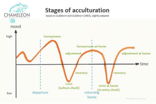 Why we experience culture shock | Chameleon Intercultural Training ...